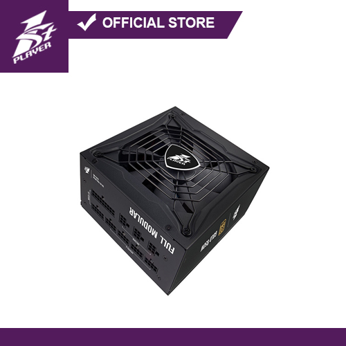 1STPLAYER STEAMPUNK 850W 80+ GOLD FULL-MODULAR GAMING PSU (PS-850SP ...