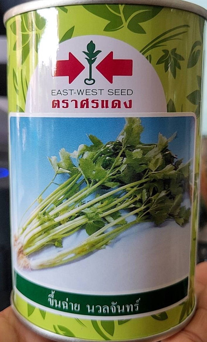 เมล็ดพันธุ์ 💥ขึ้นฉ่าย นวลจันทร์💥( 50 กรัม ) คื่นฉ่าย ตังฉ่าย หมดอายุ03 ...