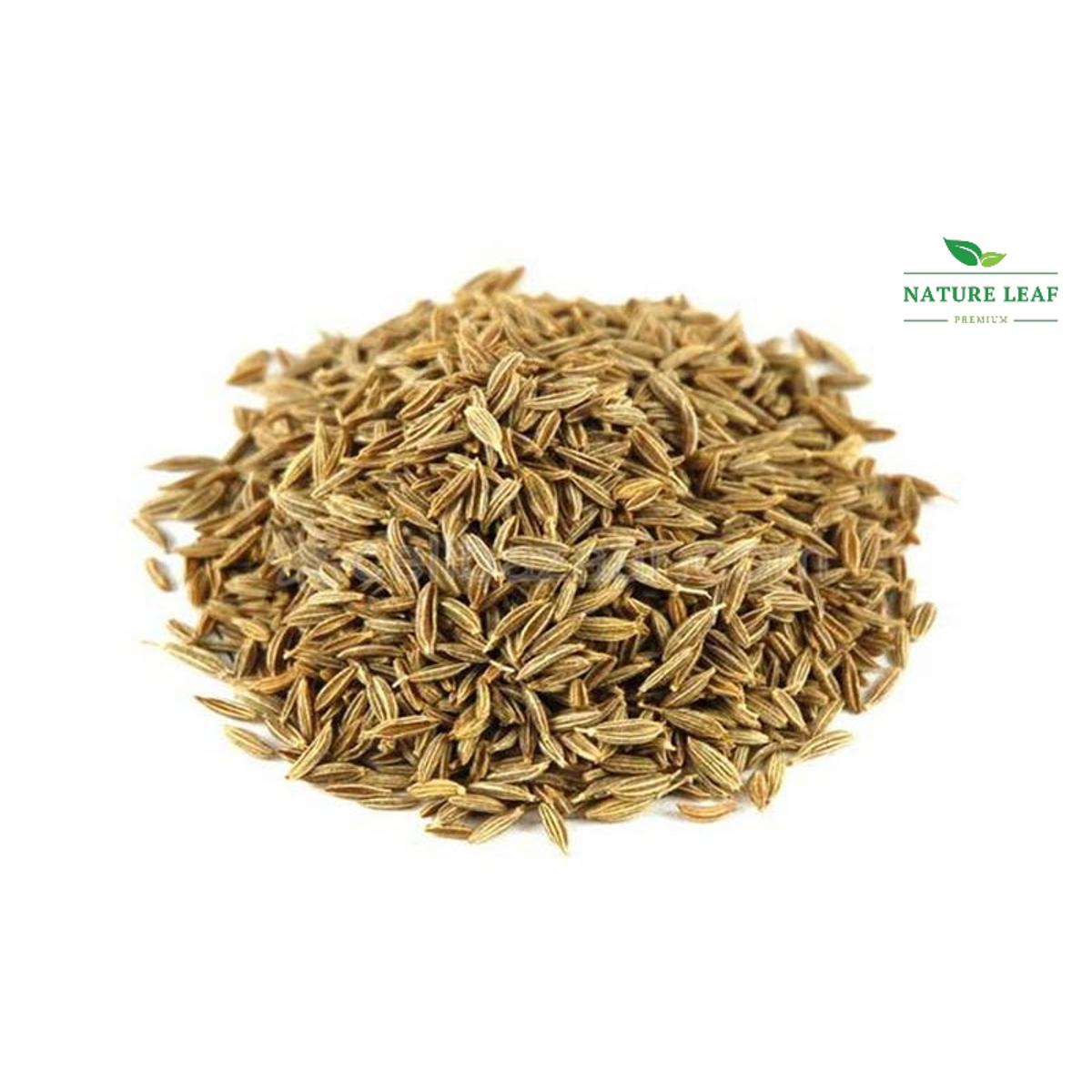 Nature Leaf - Cumin Seed Whole - 100g Pack (Jira) | Daraz.com.bd