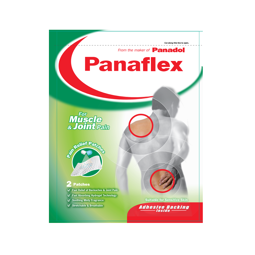 PANAFLEX Muscle & Joint Pain Relief Patch 2s | Lazada Singapore
