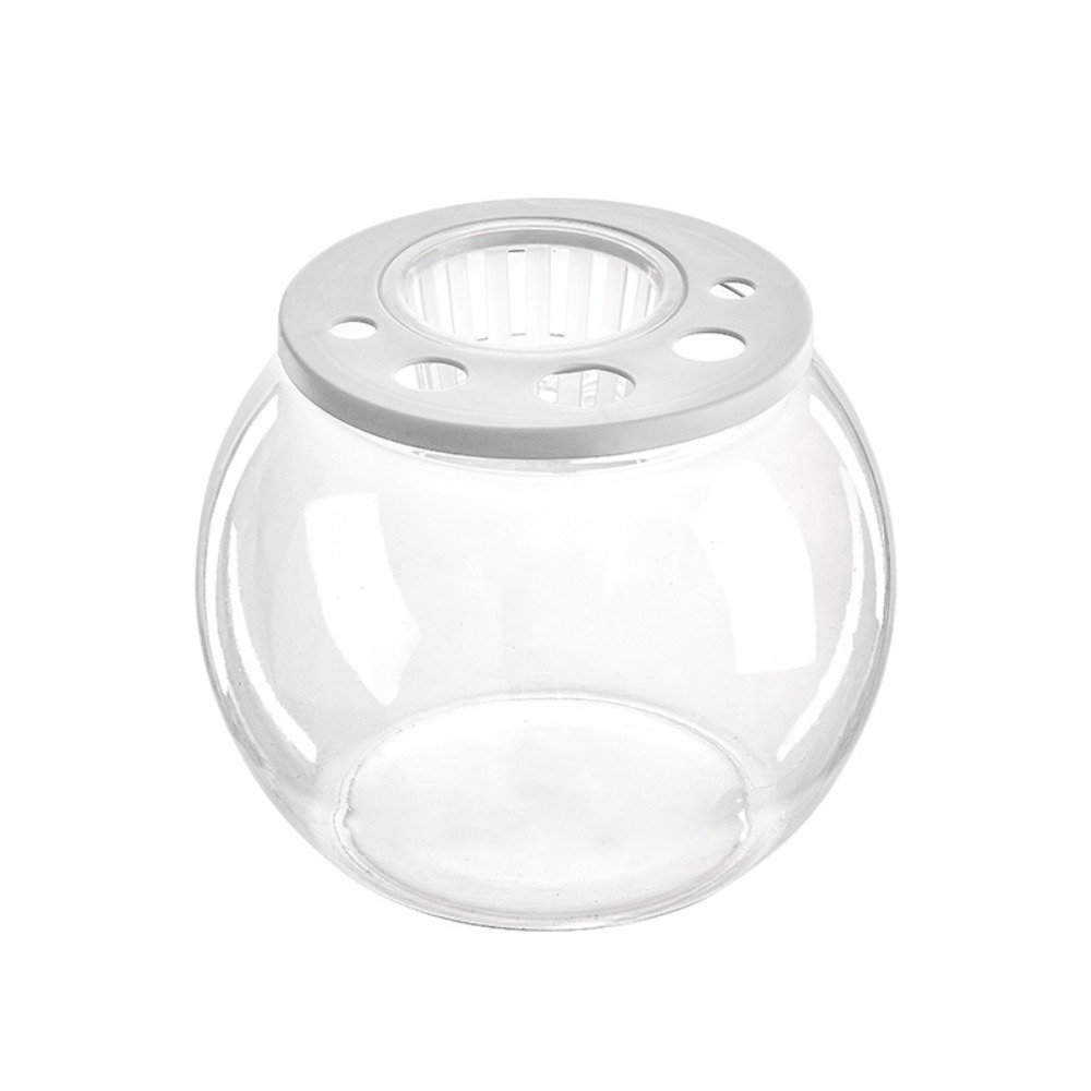 Tortoise Enclosure Transparent Small Clear Fish Plastic With Lid Turtle ...