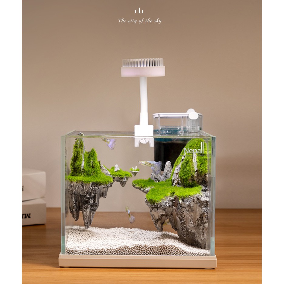 (SG STOCK) Mini fish tank set, all in one fish tank set, starter kit ...