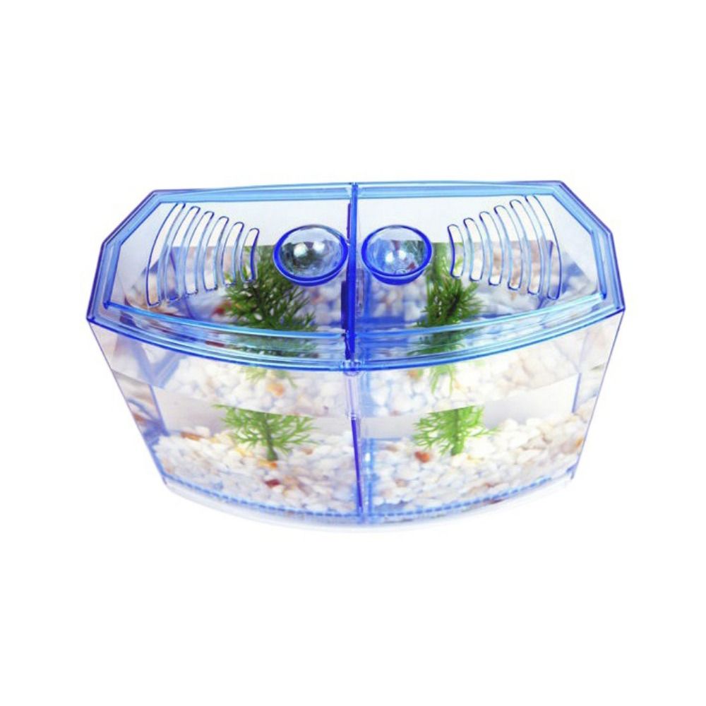 Fish House Transparent Betta Fish Single/Double Grid with Water Grass ...