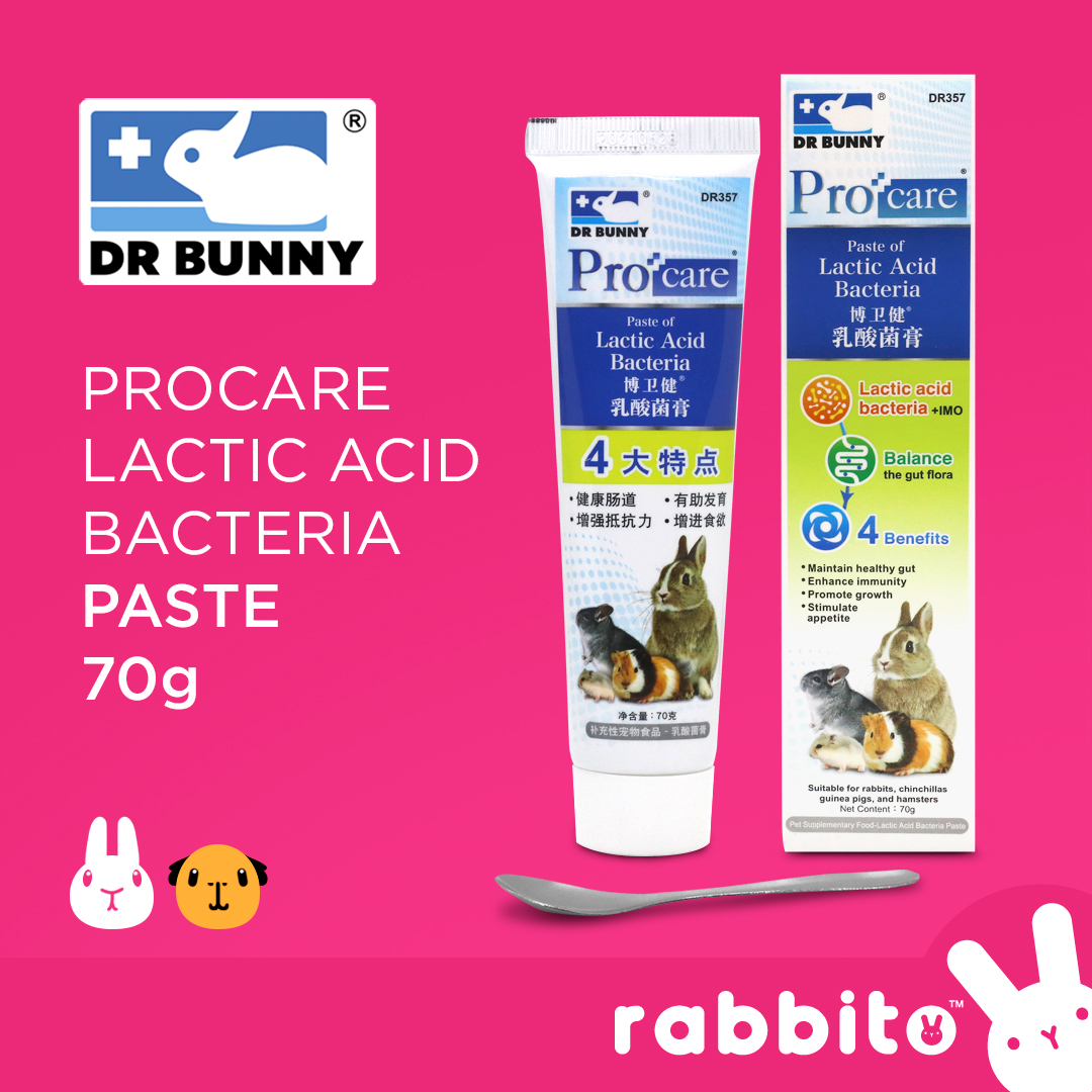 Dr. Bunny Procare Lactic Acid Paste 70g Probiotic for rabbits, guinea ...