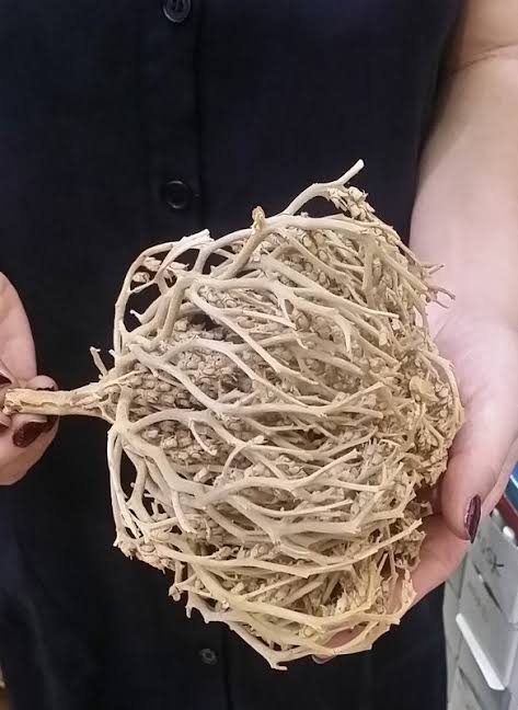 Maryam Booti | Maryum Boti | 100 gm | Daraz.pk