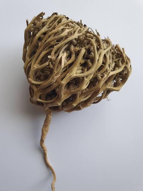 Maryam Booti | Maryum Boti | 100 gm | Daraz.pk