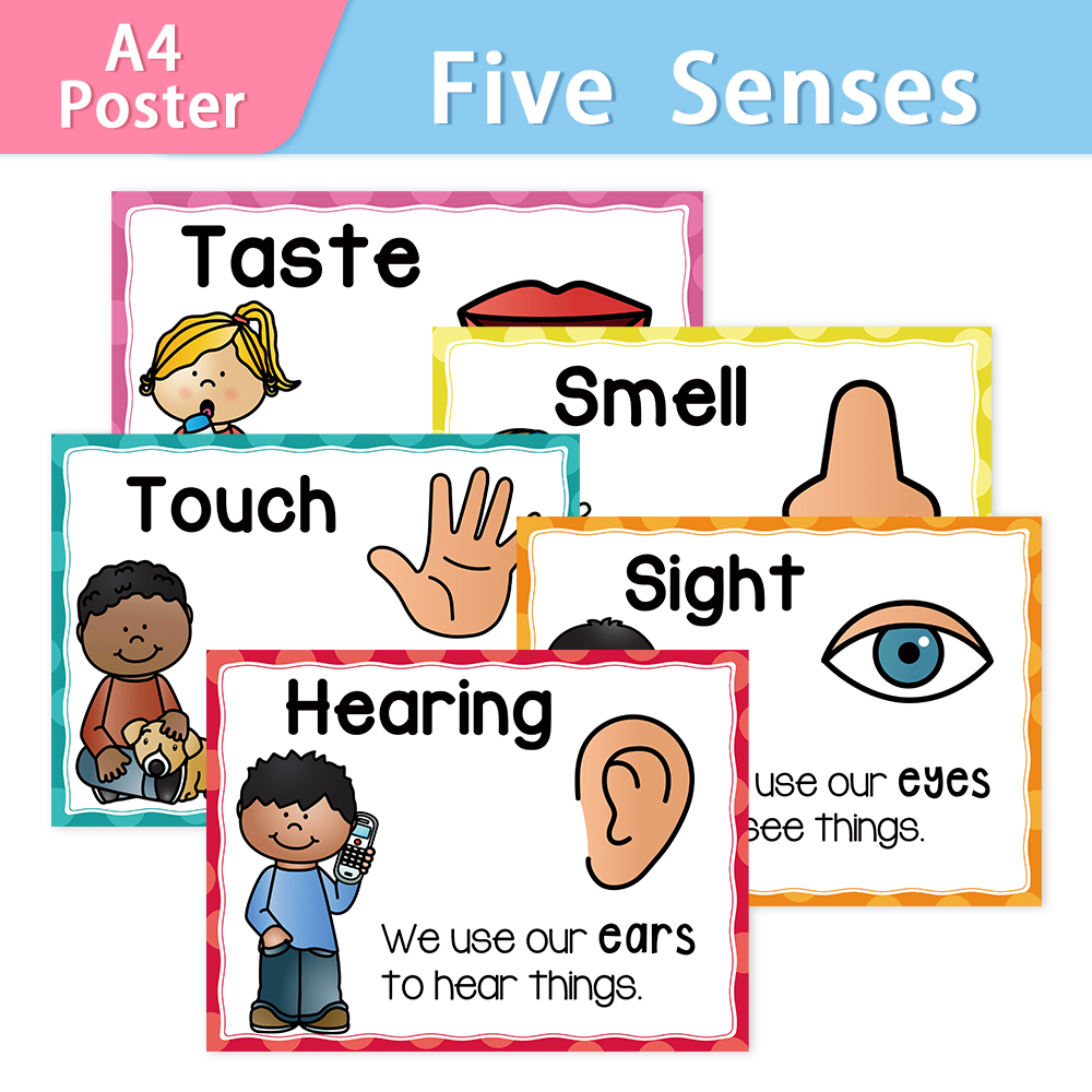 Five Senses Educational Posters about Sight Smell Hearing Taste Touch ...