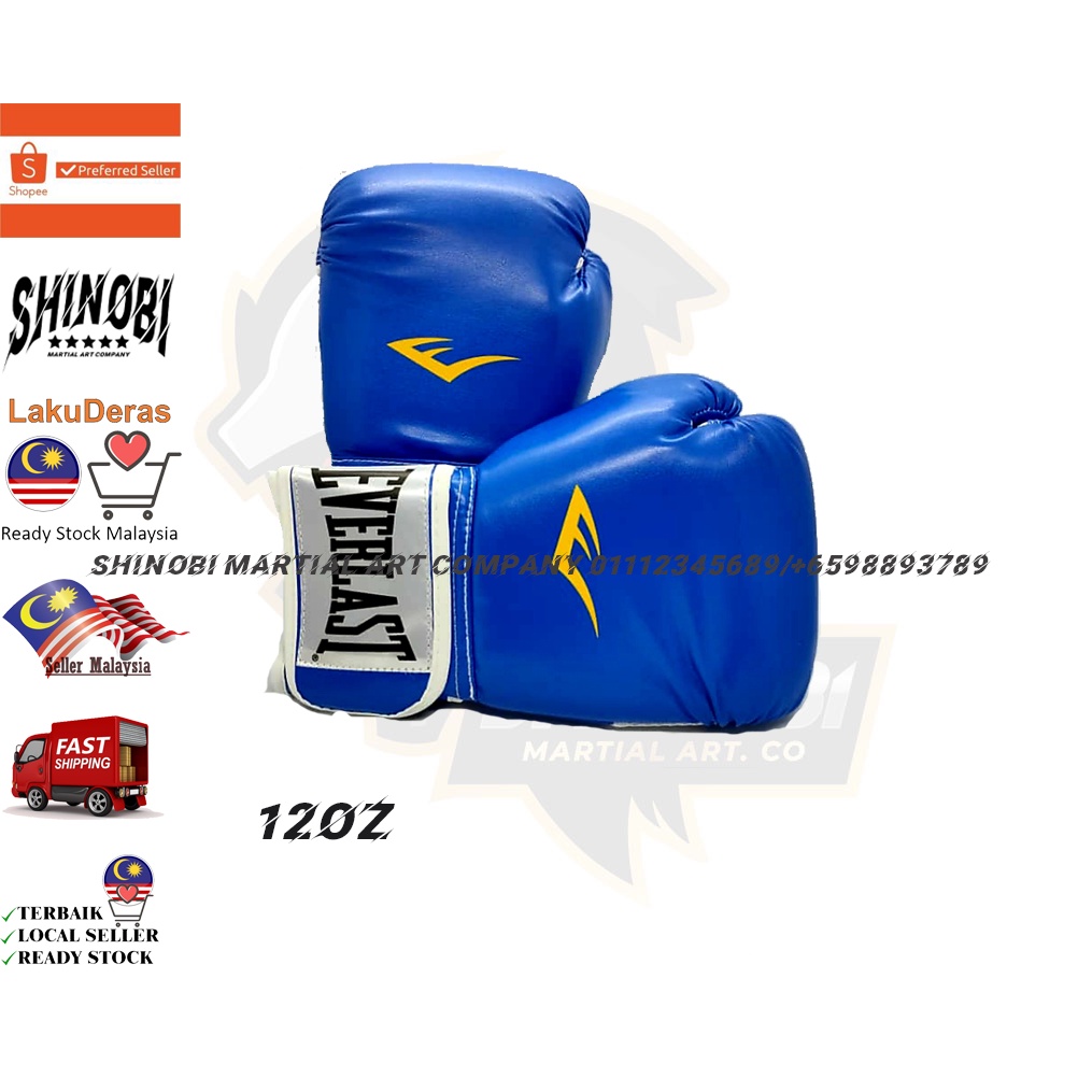 Everlast Beginner Boxing Gloves for Punching Bag Training and Pad Work ...