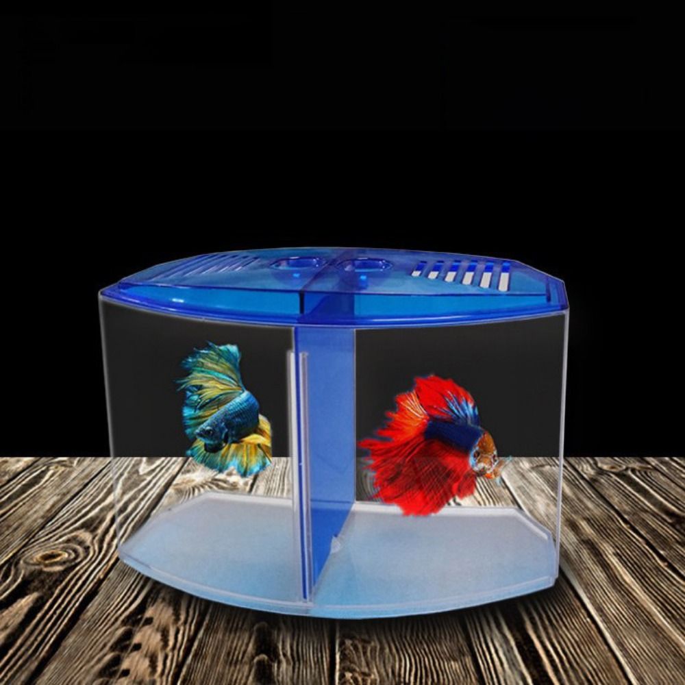Fish House Transparent Betta Fish Single/Double Grid with Water Grass ...