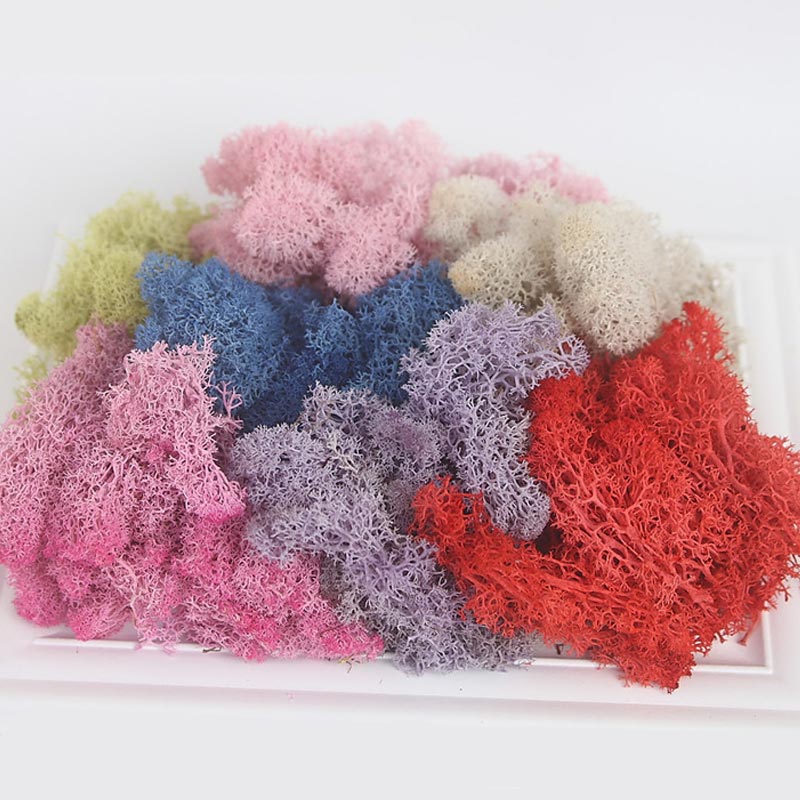 【RetroGlobe】Immortal Fake Flower Moss Grass Christmas decorations ...
