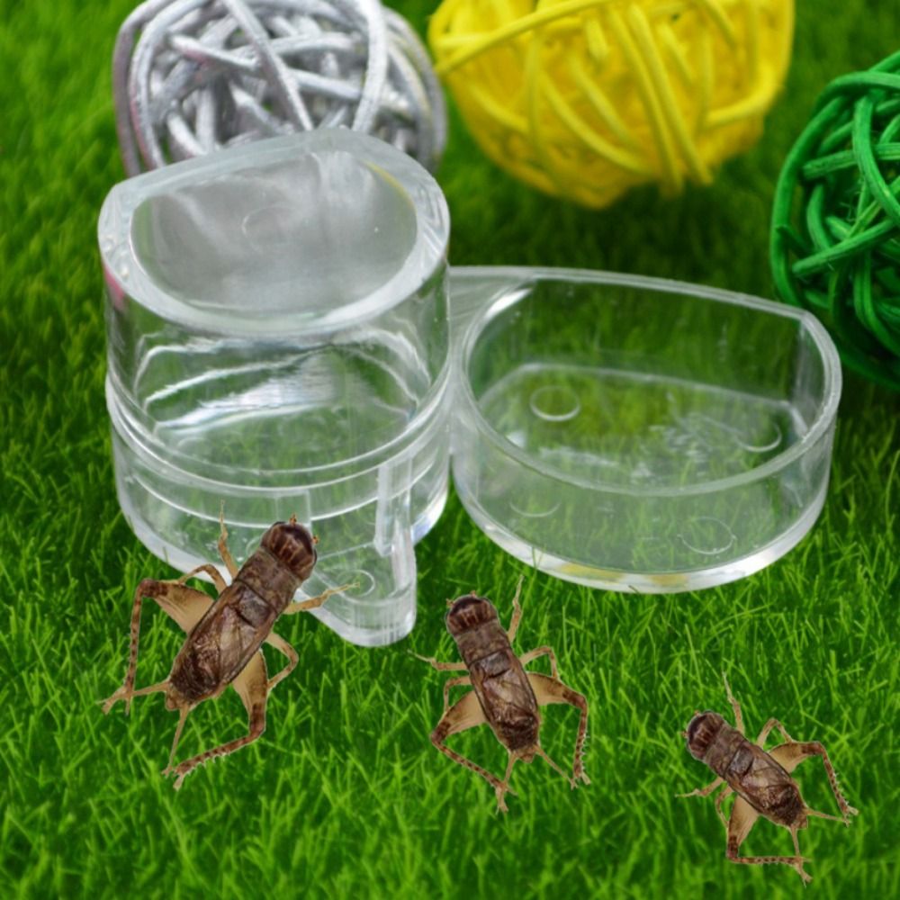 Mini Practical Durable Transparent Round Acrylic Ant Nest House Reptile ...
