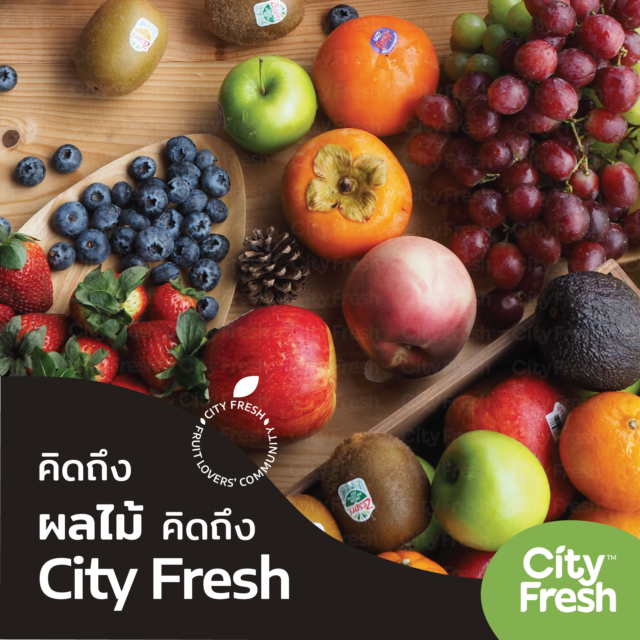CityFresh แอปเปิล Rockit จากประเทศฝรั่งเศส จัดส่งฟรีเฉพาะในกทม.เท่านั้น ...