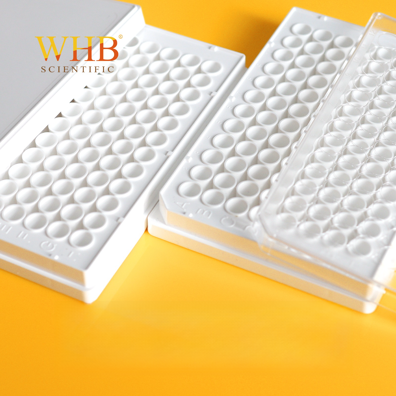 Whb 96 Well Black/white Plate Tc Treated 96-Well Flat Bottom ...