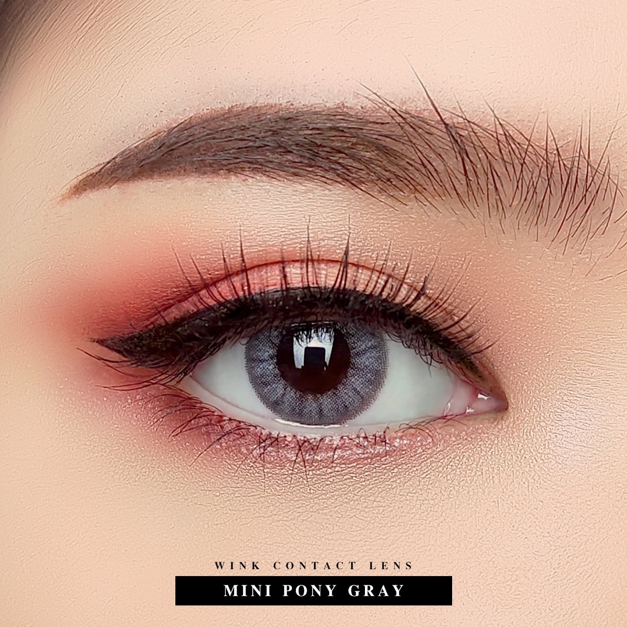 คอนแทคเลนส์ Wink Lens Mini Pony(Gray,Brown,Blue,Black) ค่าสายตา 0.00 ...