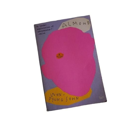 Almond ( Book by Sohn Won-Pyung ) ( Premium Paper and Matte Cover ...