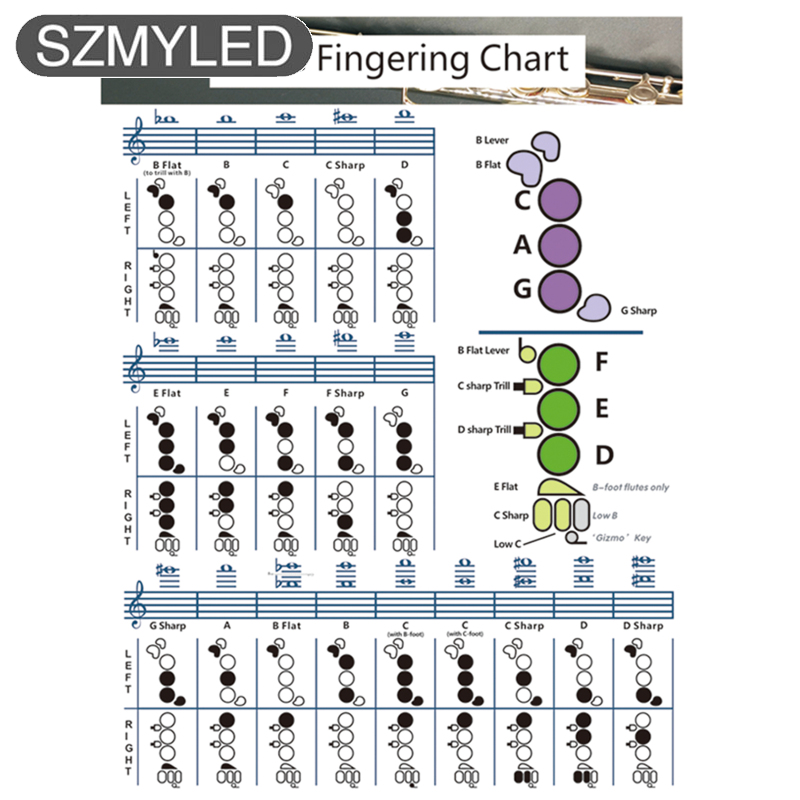 Large Flute Chords Poster Finger Placement Flute Chords Theory Poster ...