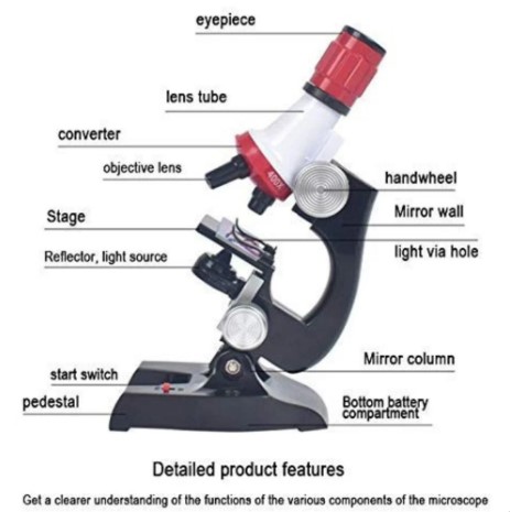 1200 Times Microscope Toys Primary School Biological Science Experiment ...