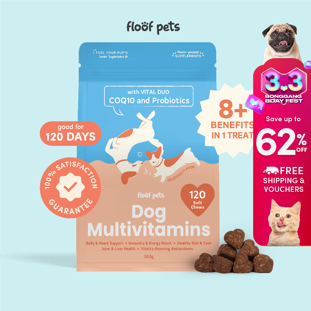 Floof 8 in 1 Dog Multivitamin Treat 300g with Probiotics (Healthy ...