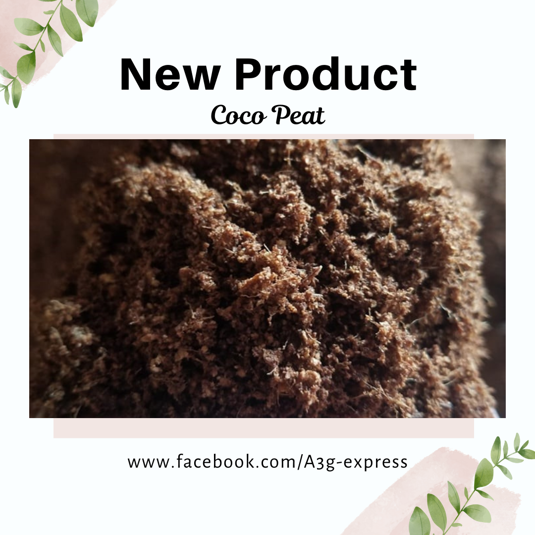 ORGANIC AND PURE COCO PEAT 3 KILOGRAMS PER PACK | Lazada PH