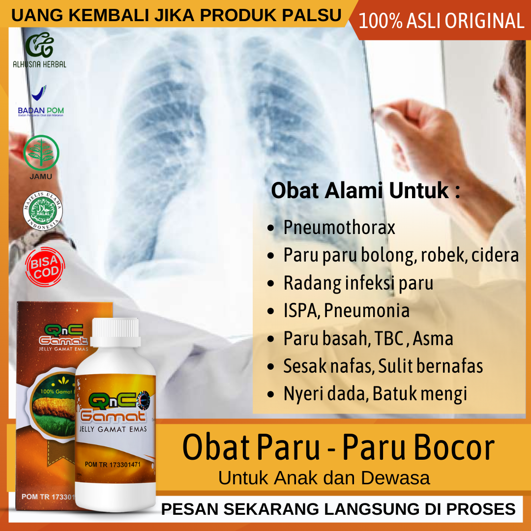 QNC JELLY GAMAT Obat Alami Paru Paru Bocor pada Anak dan Dewasa 100% ...