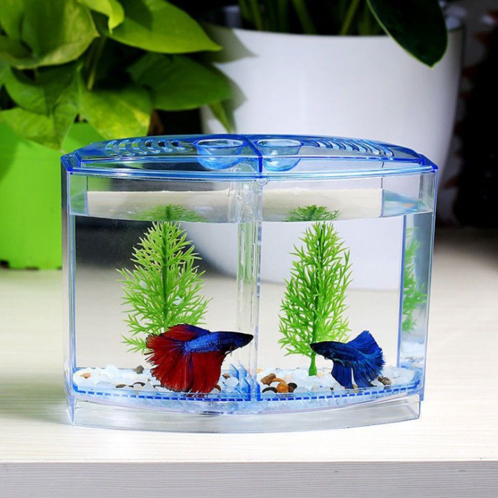 Practical Transparent Betta Fish Plastic with Water Grass Double-grid ...