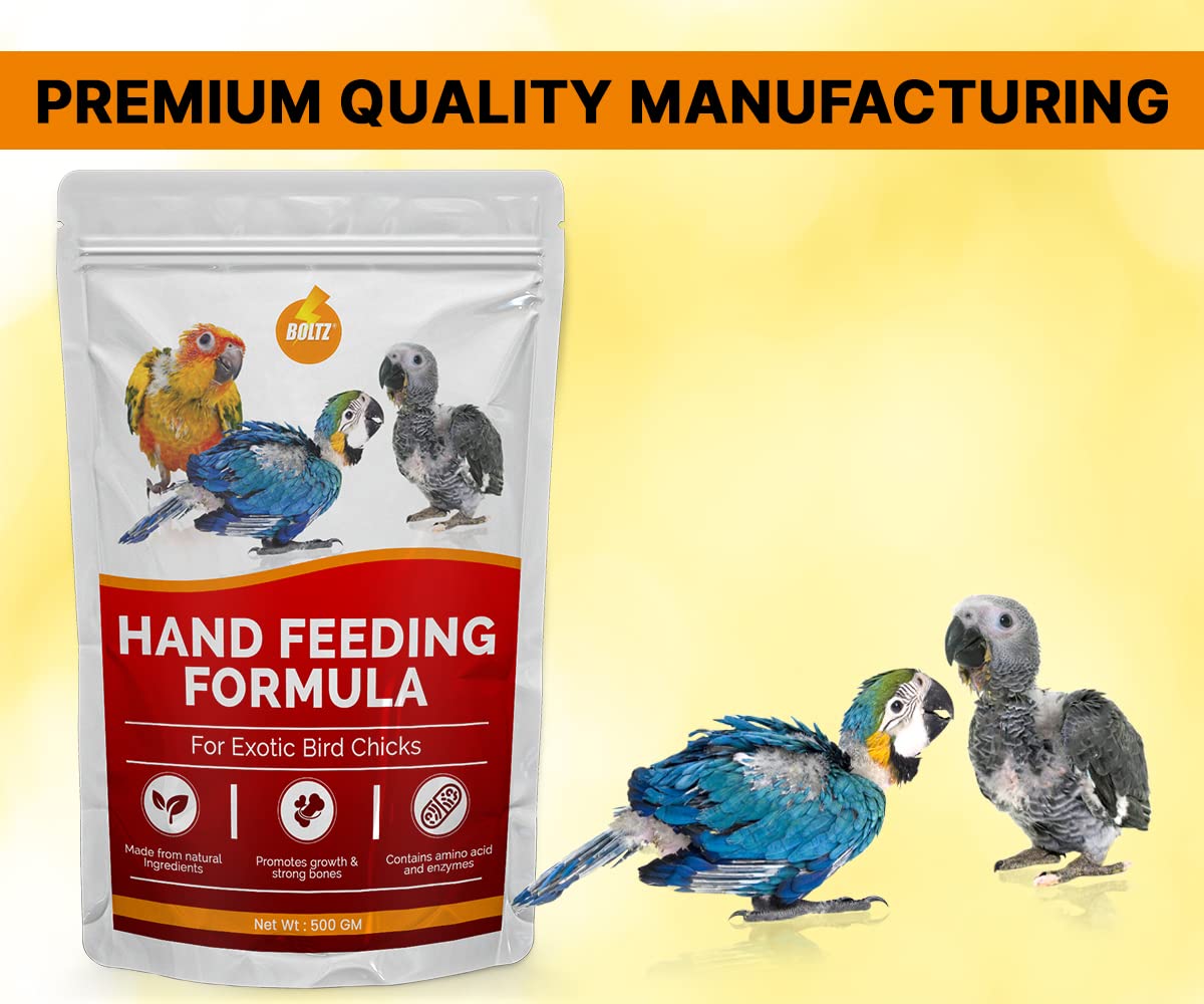 Boltz Natural Hand Feeding Formula for Birds -500 Gm for Exotic Baby ...