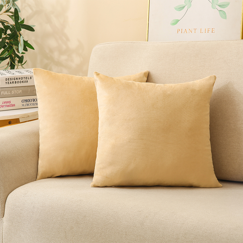 【2-piece set】Simple and Modern Velvet Pillow Cover Morandi Color Home ...