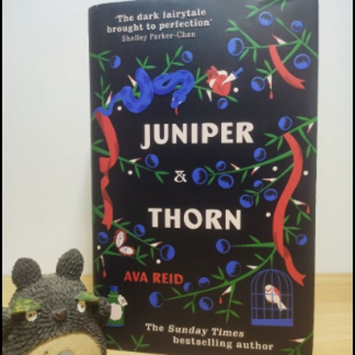 Juniper & Thorn ( Book by Ava Reid ) ( Premium Paper and Matte Cover ...