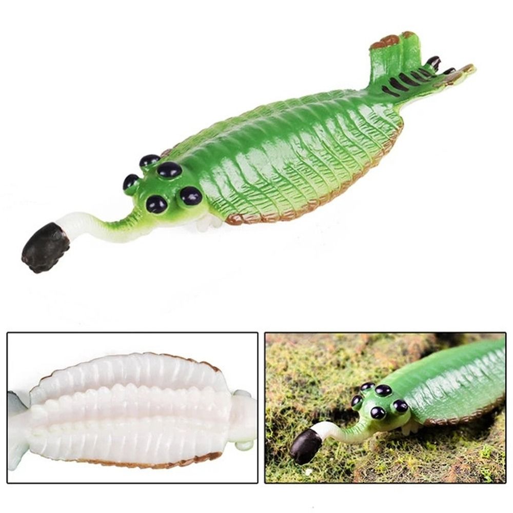 Cephalaspis Prehistoric Ocean Animal Figure Simulation Nautilus Marine ...