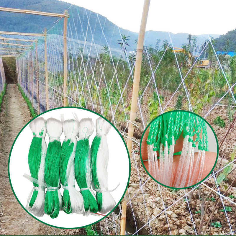 2M X 100M Cucumber Mesh Net Trellis Climbing Plants Support Garden Net Plant Climbing Trawl ...