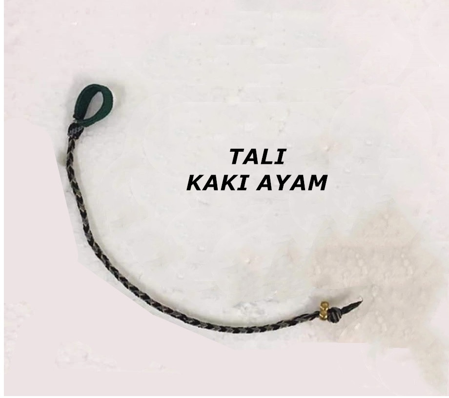 FISHFULL Tali Burung Terkukur Bird Rope / Tali Kaki Ayam / Ayam Betina ...