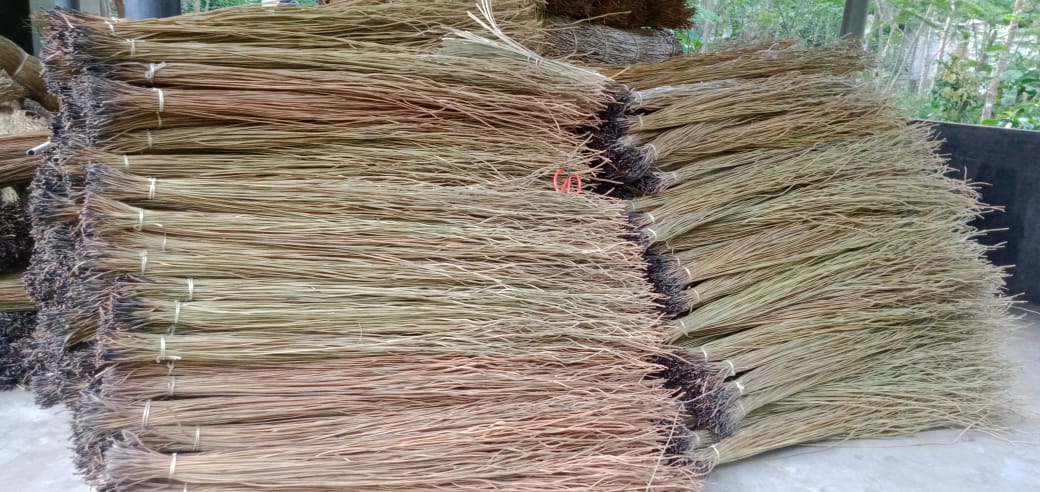 AKAR MANON ISI 100 AKAR MANON DEKORASI | Lazada Indonesia