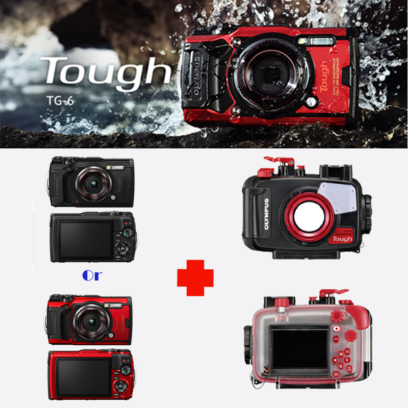 Olympus Tough TG6 กล้องดิจิตอลถ่ายรูปใต้น้ำ - FreedomDIVE - ThaiPick