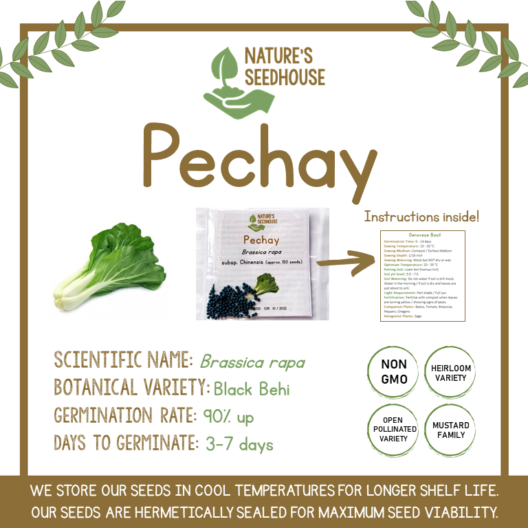Pechay Seeds • Petsay Seeds • Vegetable Seeds • Plant Seeds • | Lazada PH