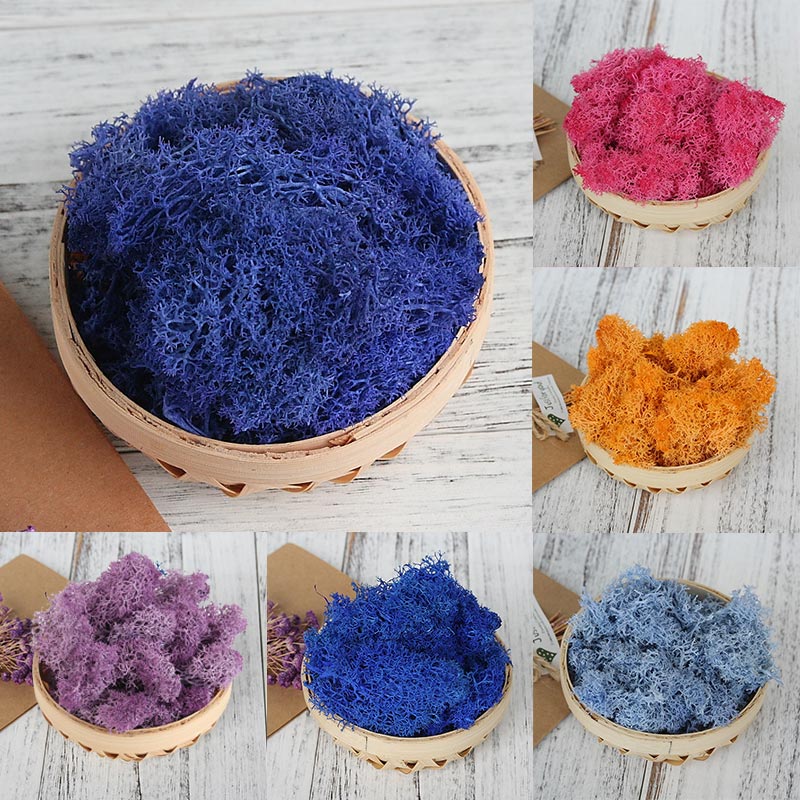 【RetroGlobe】Immortal Fake Flower Moss Grass Christmas decorations ...