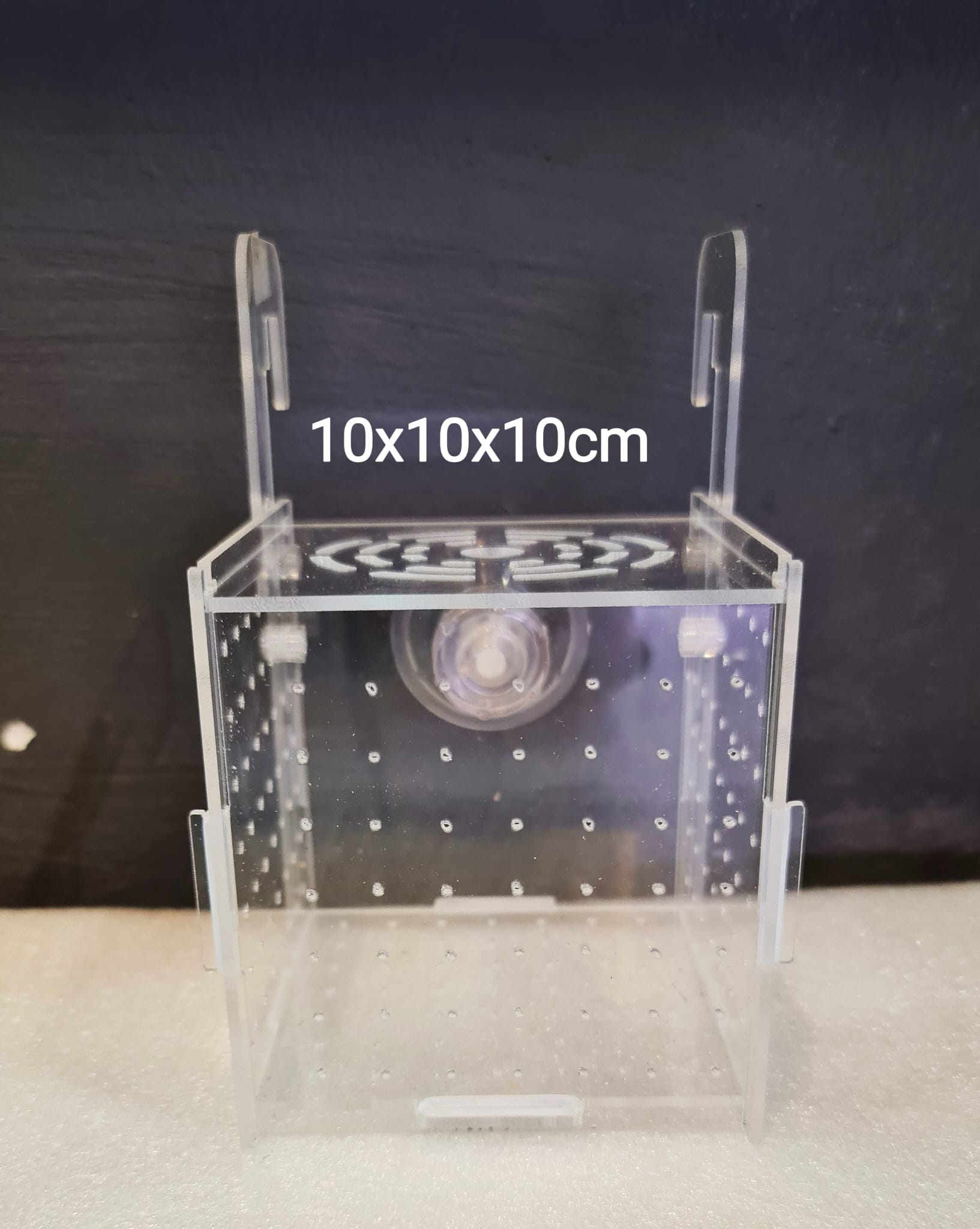Aquarium Fish Isolation Box Fish Tank (10x10x10cm) *self-assemble ...