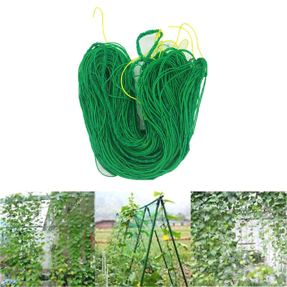 Garden Plants Climbing Net Strong Nylon Net Loofah Morning Glory Flower ...