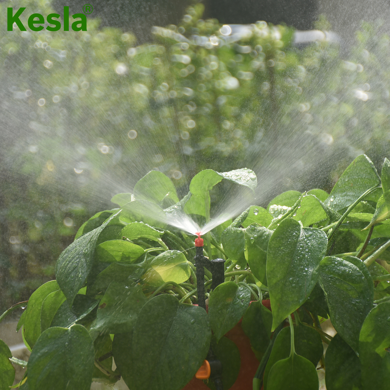 【ArtisanQuest】KESLA Greenhouse 90/180/360 Degree Micro Misting Nozzle ...