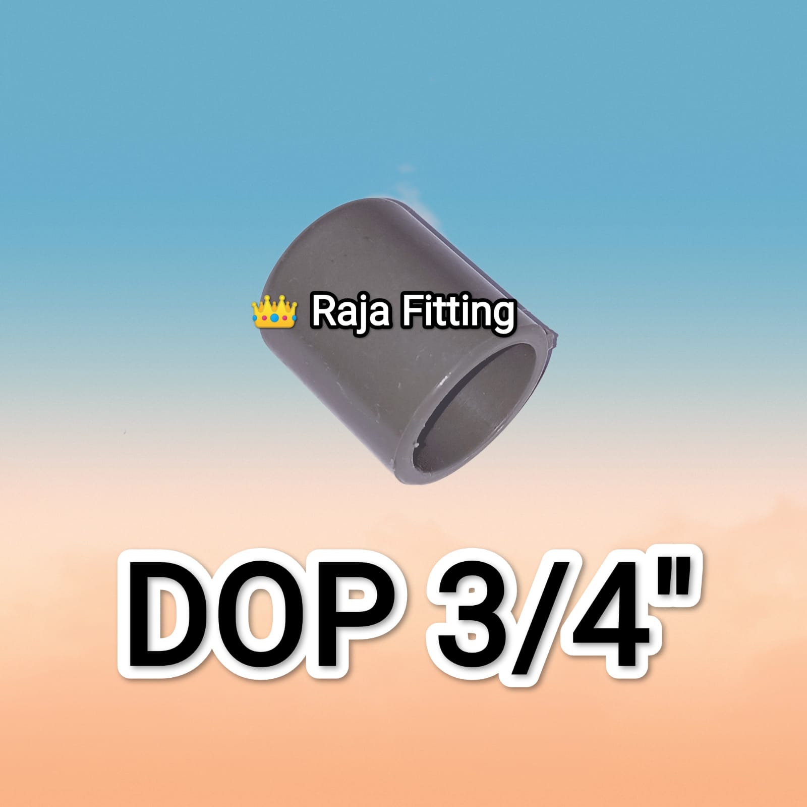 DOP 3/4" Raja Fitting, DOP 0,75 inch, Tutup Pipa 3/4" | Lazada Indonesia