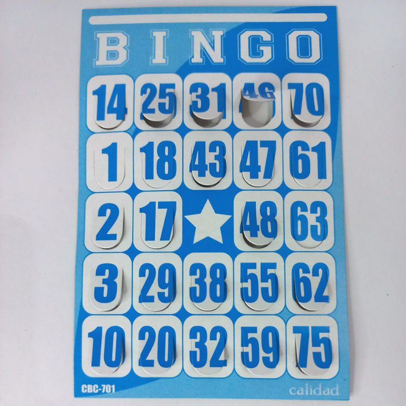 Bingo Cards pack by 100s 50's (assorted series 1 to 8) | Lazada PH