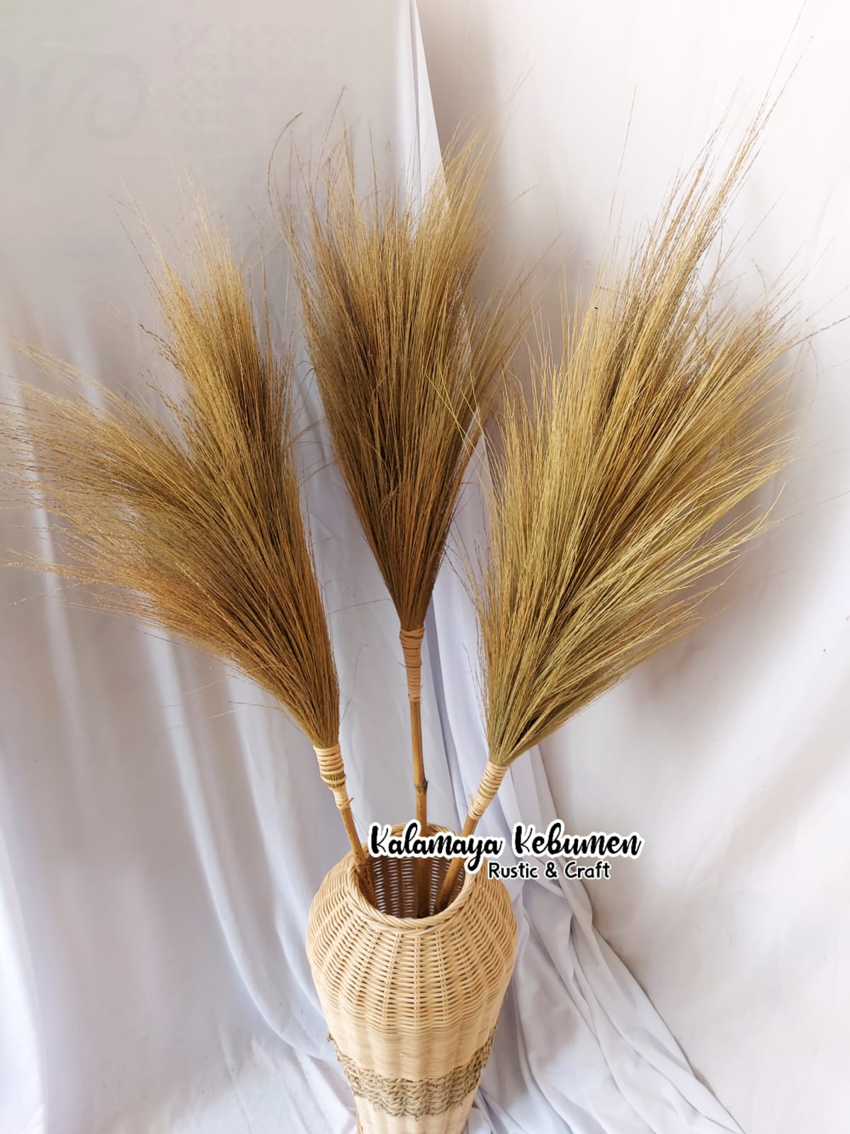 Stik Mini Rayung Pampas Bulu Bambu Hiasan Vas Guci Buket Bunga Kering ...