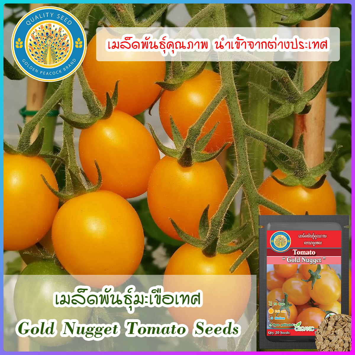 เมล็ดพันธุ์ มะเขือเทศ (Lucid Gem Tomato Seeds) - LannaFarm&Garden ...