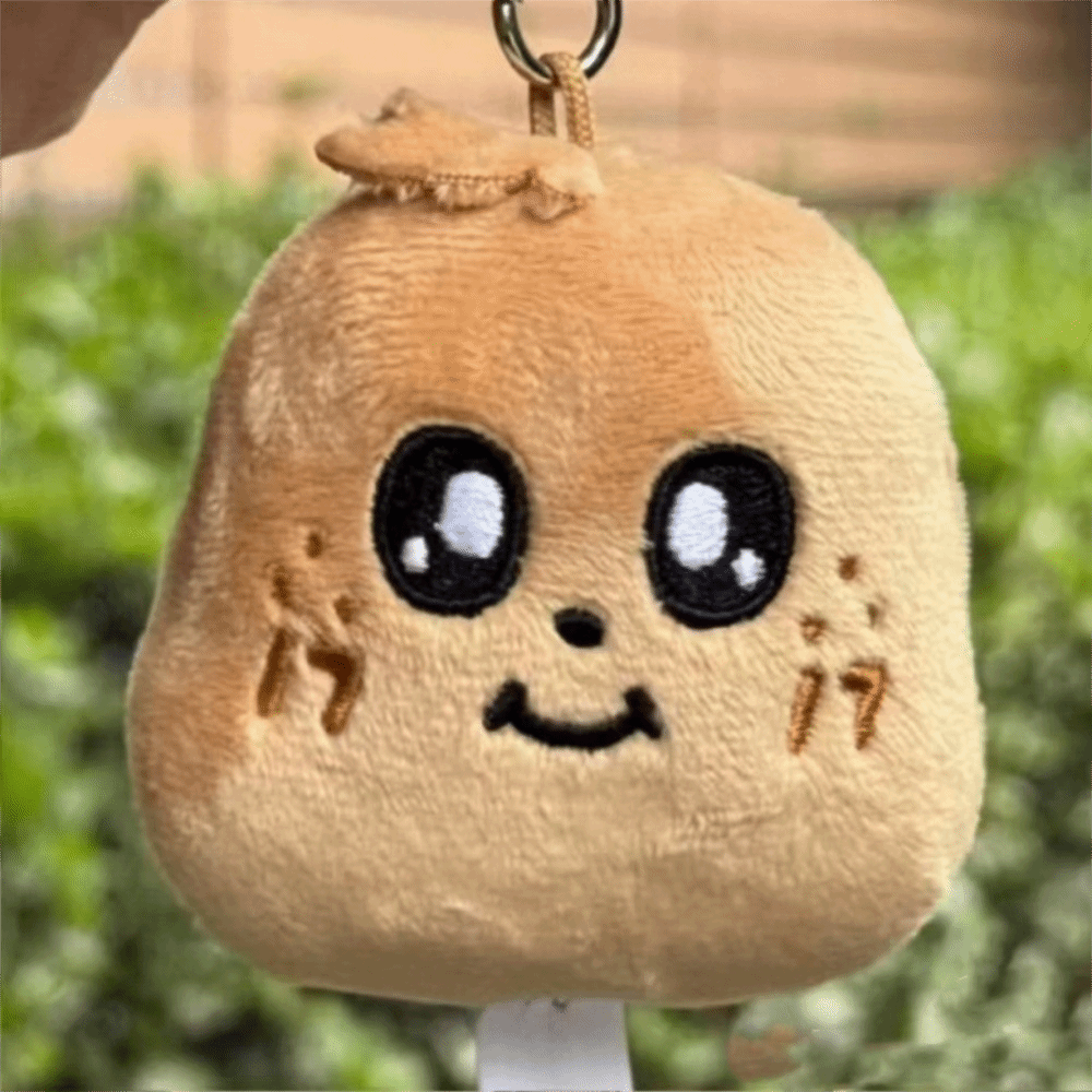 Cute Plush Idol Dolls Keychains JEONGHAN WONWOO Miniteen Cartoon Bag ...