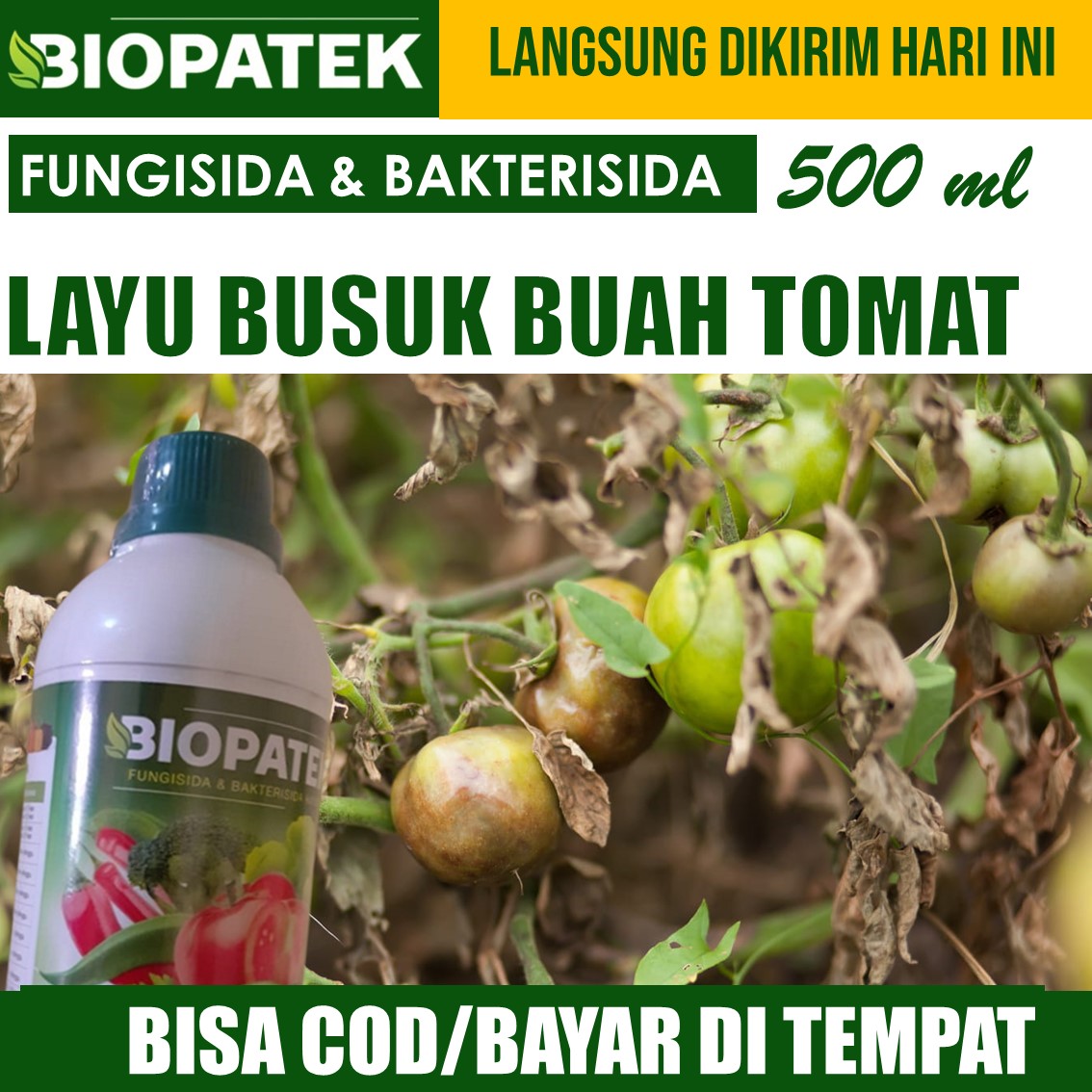 PROMO BIOPATEK 500 ML Obat Penyakit Busuk Buah Tomat dan Layu Fusarium ...