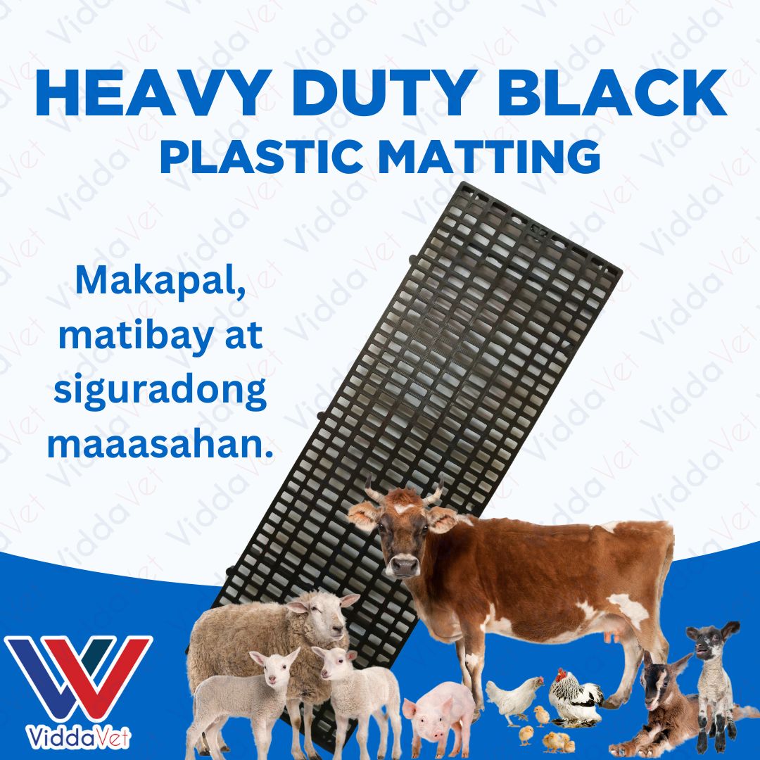 Farm-Quality 1x3 Black Mattings for Pig Safety para sa mga alagang ...