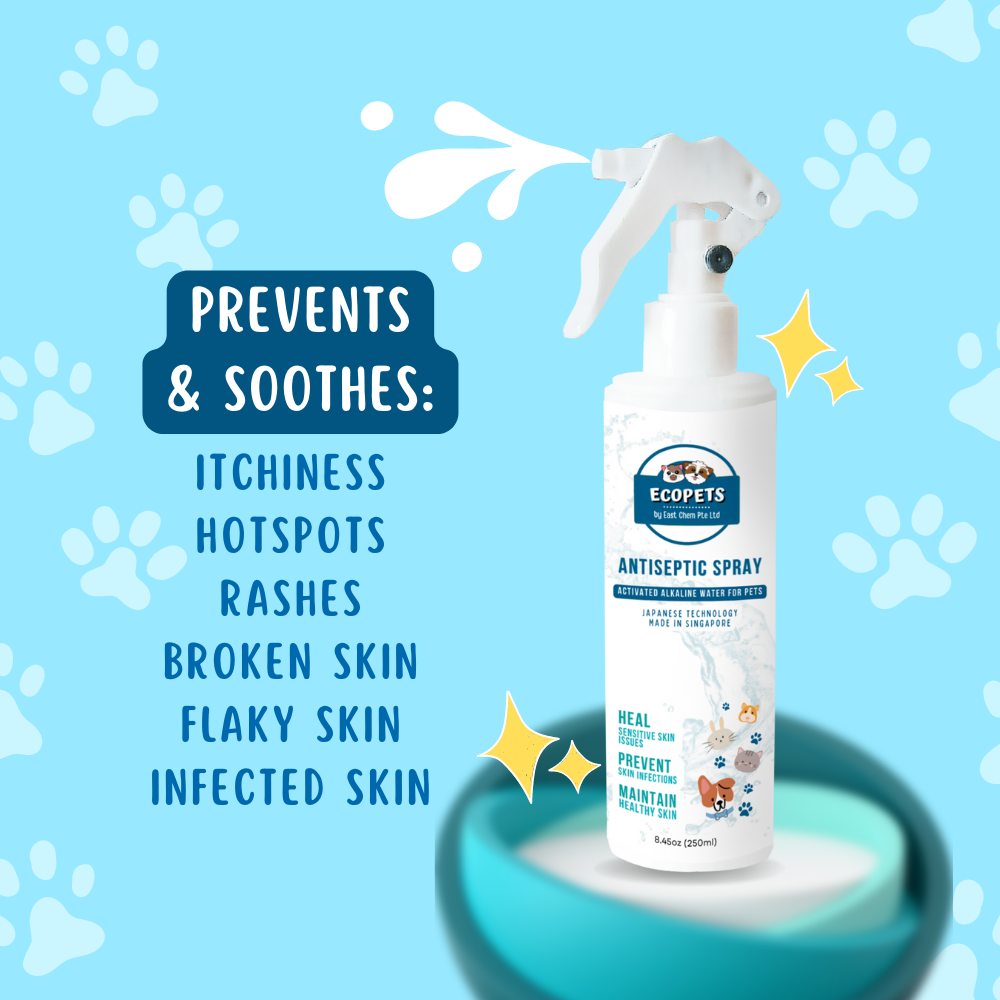 ECOPETS Antiseptic Spray (Alkaline Activated Water for Hotspots, Bumps ...