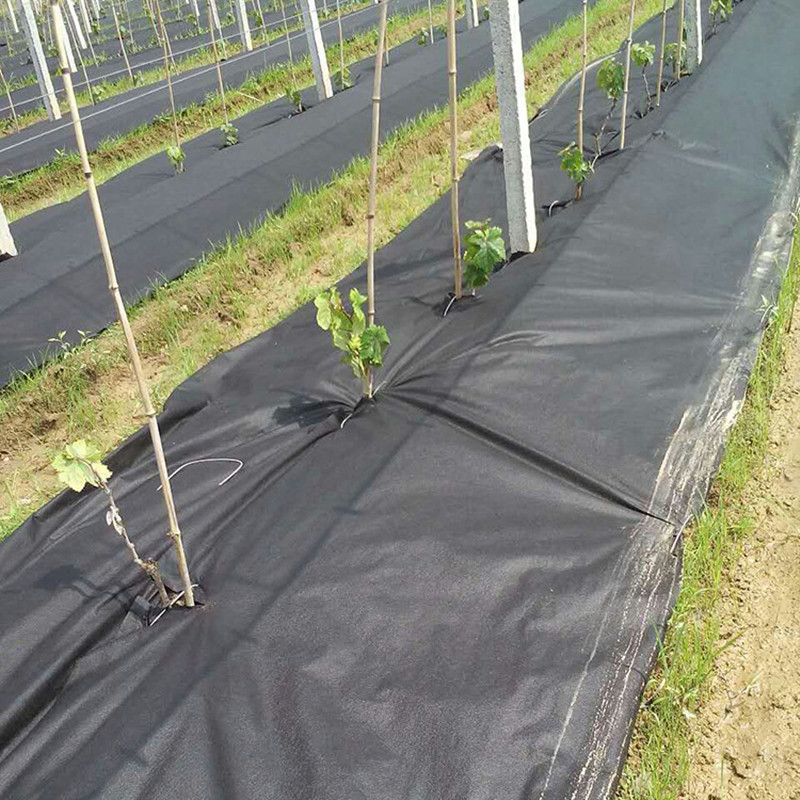 15m/10m/5m/1m Geotextile 50g/m Non Woven Fabric For Landscaping ...