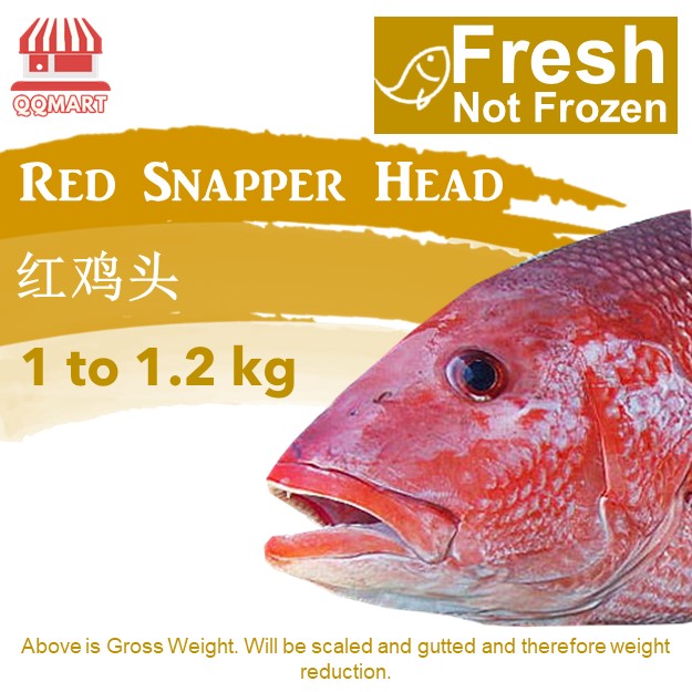 QQMart Fresh Seafood (Not Frozen) - Fresh Red Snapper Head 1 to 1.2kg ...