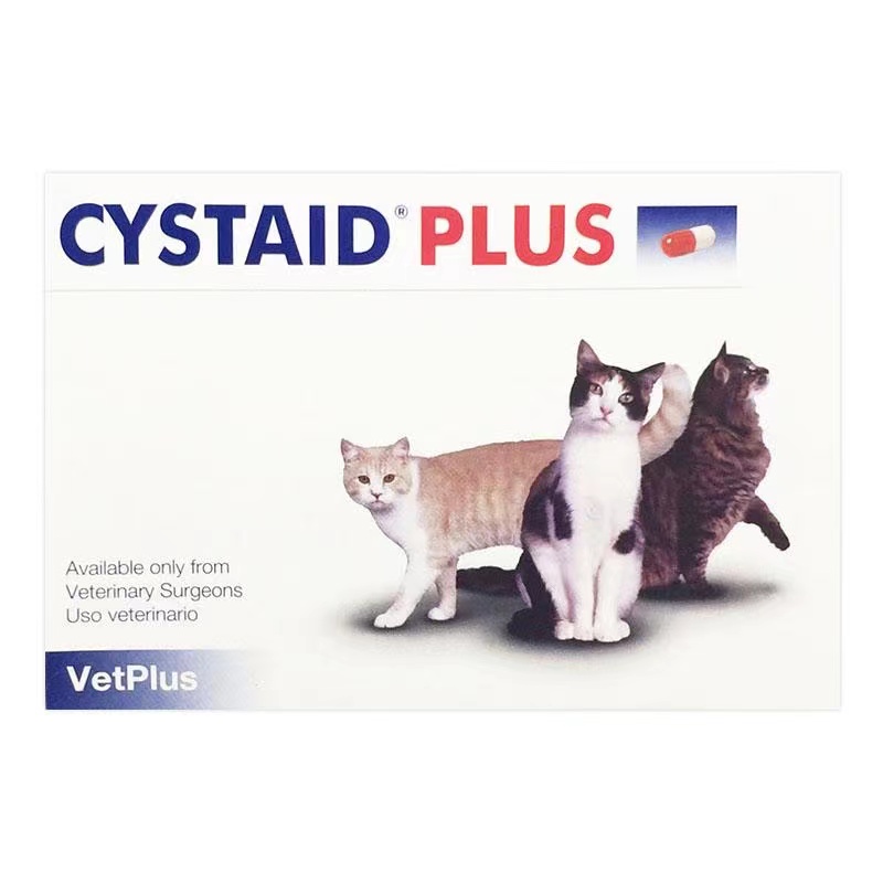 (EXP5/23) Cystaid อาหารเสริมโปรตีนสำหรับ แมวที่ฉี่ไม่ออกบ่อย มีปัญหา ...