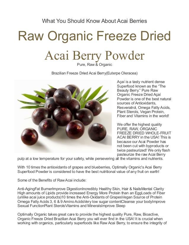 Organic Acai Berries Powder 50g [Freeze-Dried] – Pure Brazilian ...